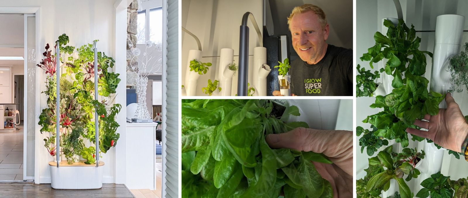 GARDYN - Plan Plant Planet